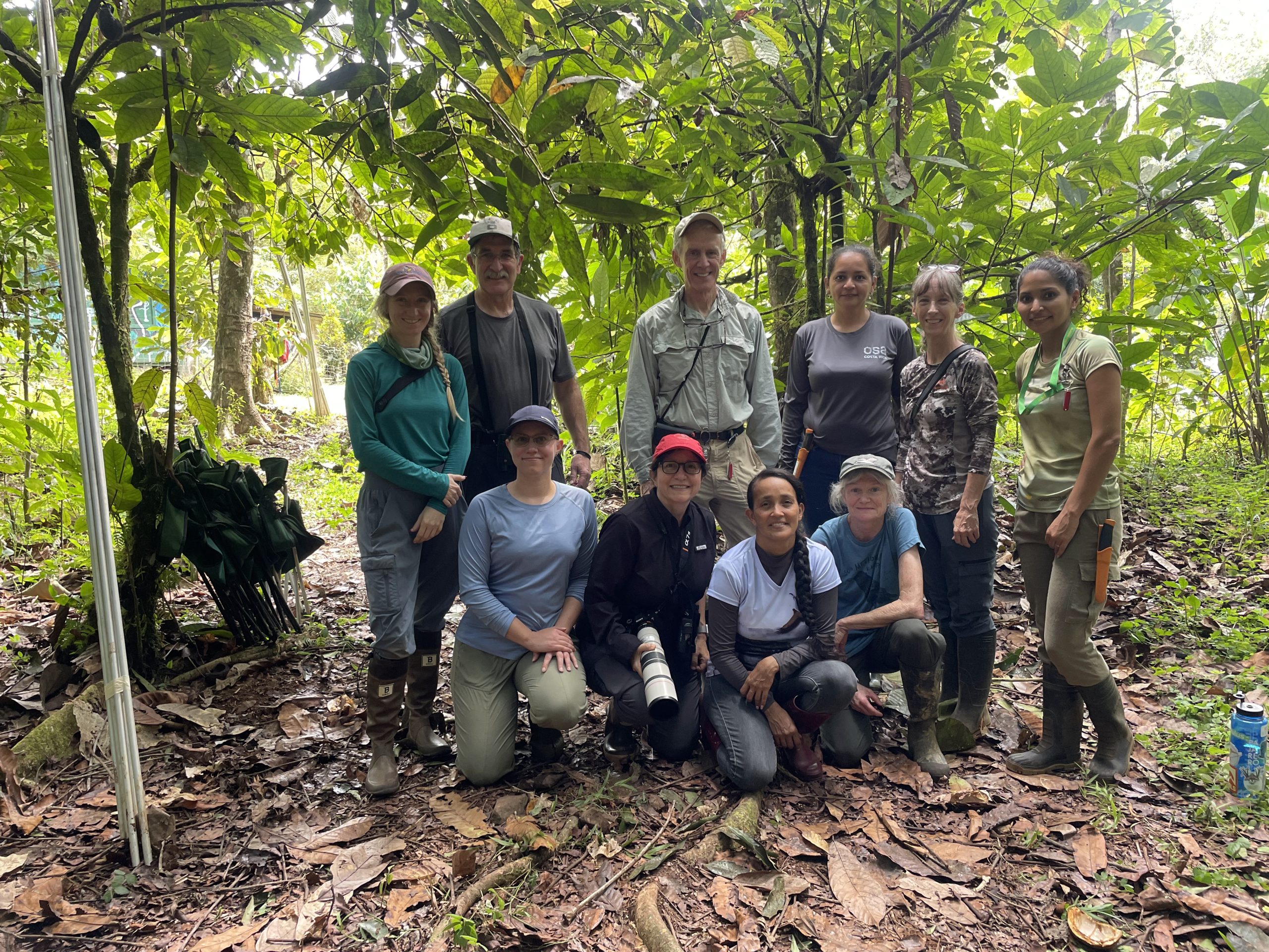 Bird Banding Workshops | Osa Birds